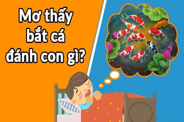 Mơ Đi Bắt Cá Đánh Đánh Đề Con Số Gì? Báo Hiệu Điều Gì?